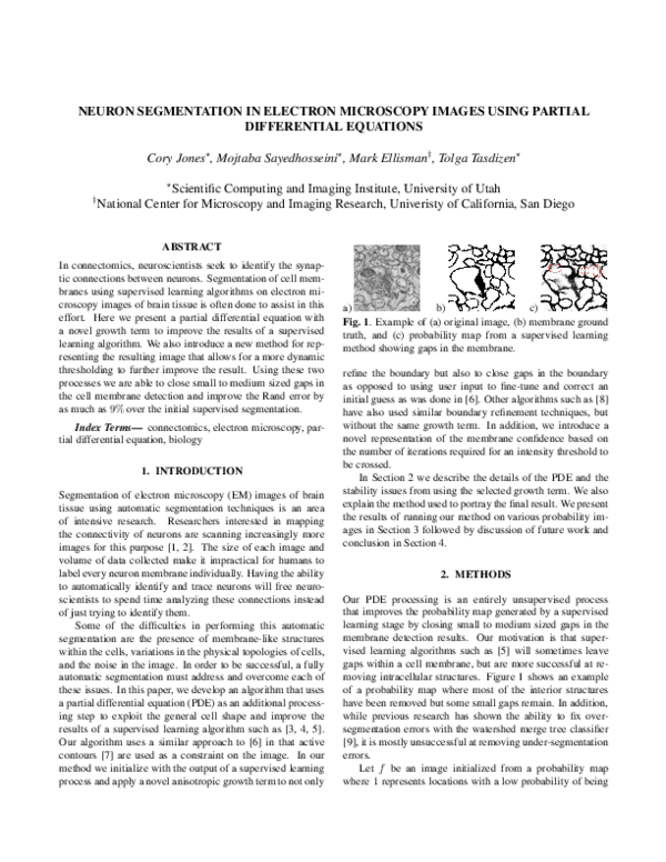 (PDF) Neuron segmentation in electron microscopy images using partial differential equations