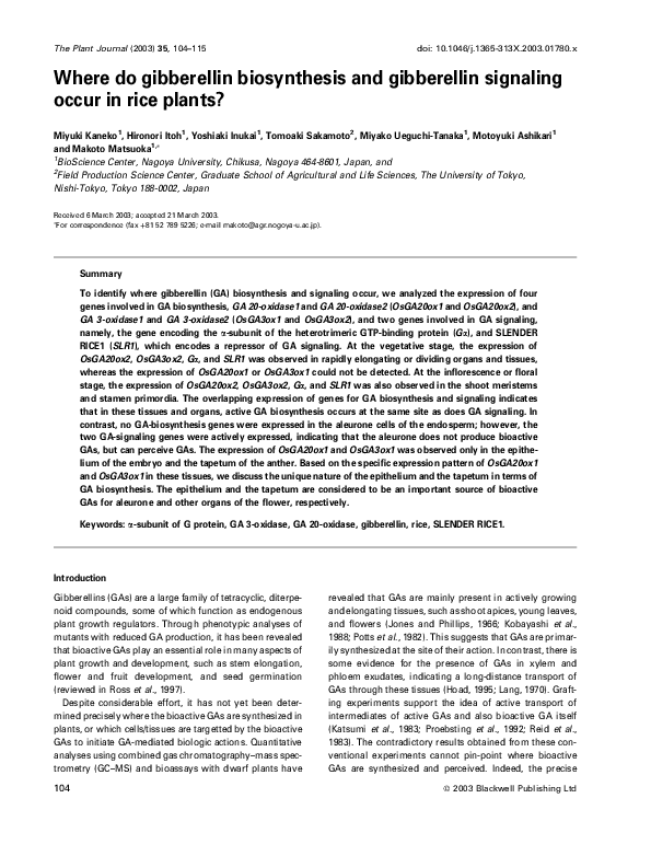 (PDF) Where do gibberellin biosynthesis and gibberellin signaling occur ...