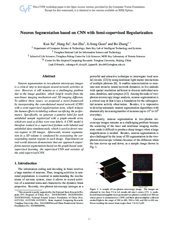 (PDF) Neuron Segmentation Based on CNN with Semi-Supervised Regularization