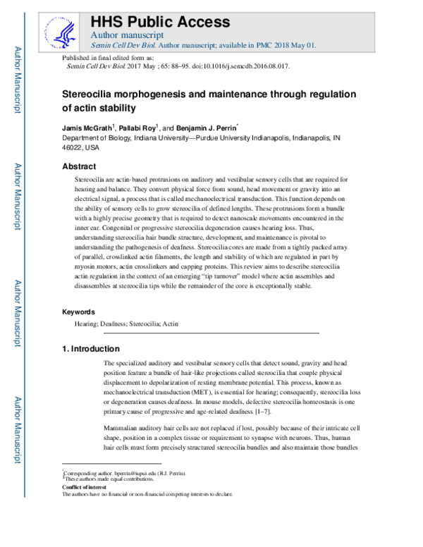 (PDF) Stereocilia morphogenesis and maintenance through regulation of ...