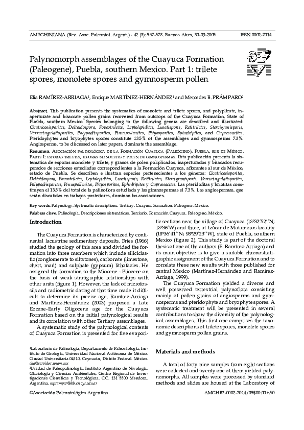 (PDF) Palynomorph assemblages of the Cuayuca Formation (Paleogene ...