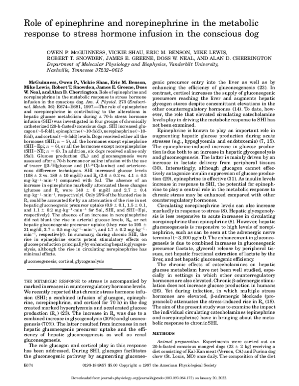 (PDF) Role of Epinephrine and Norepinephrine In the Metabolic Response ...