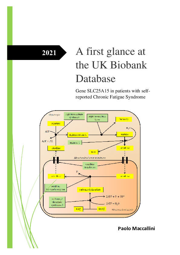 (PDF) A first glance at the UK Biobank Database