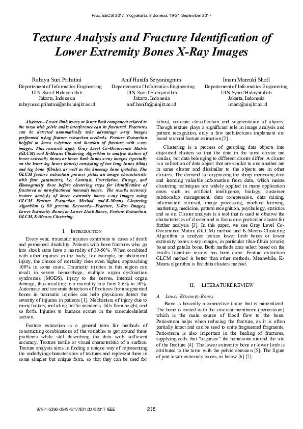 (PDF) Texture Analysis and Fracture Identification of Lower Extremity ...