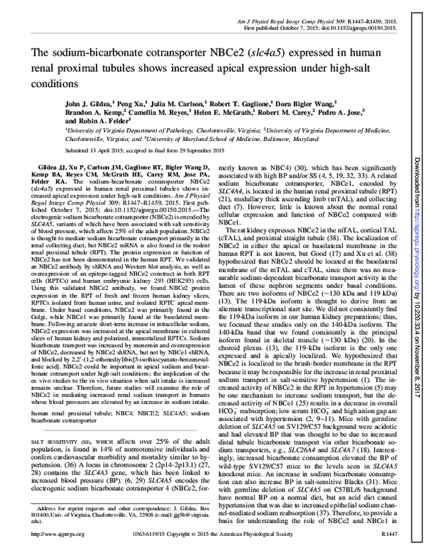 (PDF) NBCe2 Apical Expression in Human Kidney RPTs