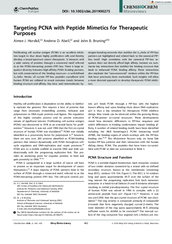 (PDF) Targeting PCNA with peptide mimetics for therapeutic purposes
