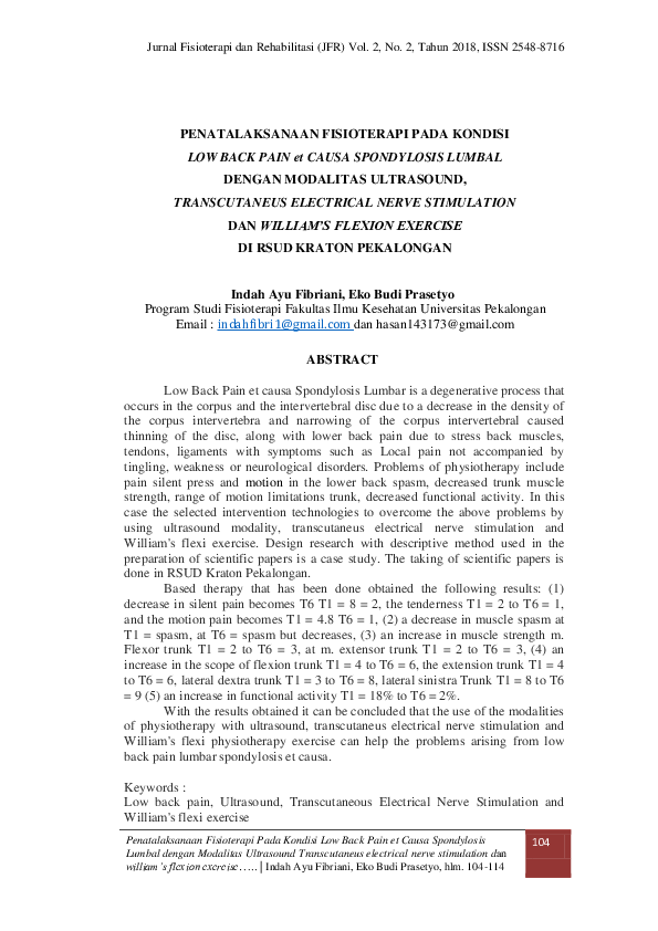 (PDF) Penatalaksanaan Fisioterapi Pada Kondisi Low Back Pain (LBP ...