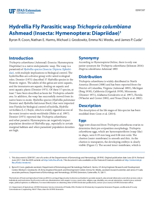 (PDF) Hydrellia Fly Parasitic wasp Trichopria columbiana Ashmead ...