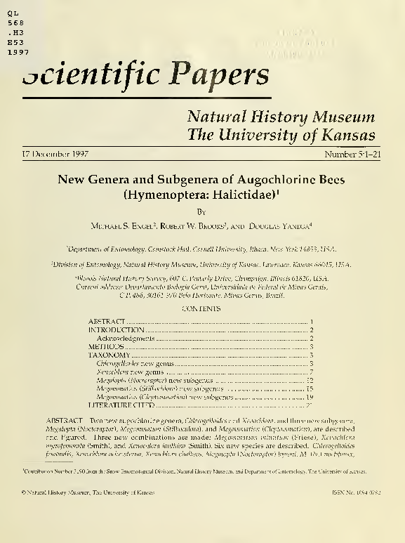 (PDF) New genera and subgenera of augochlorine bees (Hymenoptera ...