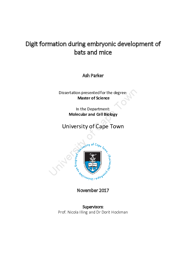 (PDF) Digit formation during embryonic development of bats and mice ...