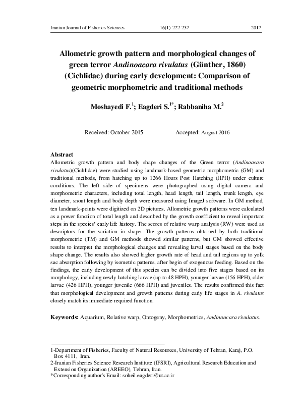 (PDF) Allometric growth pattern and morphological changes of green ...