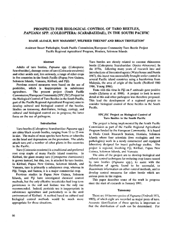 (PDF) Prospects for Biological Control of Taro Beetles, Papuana spp ...