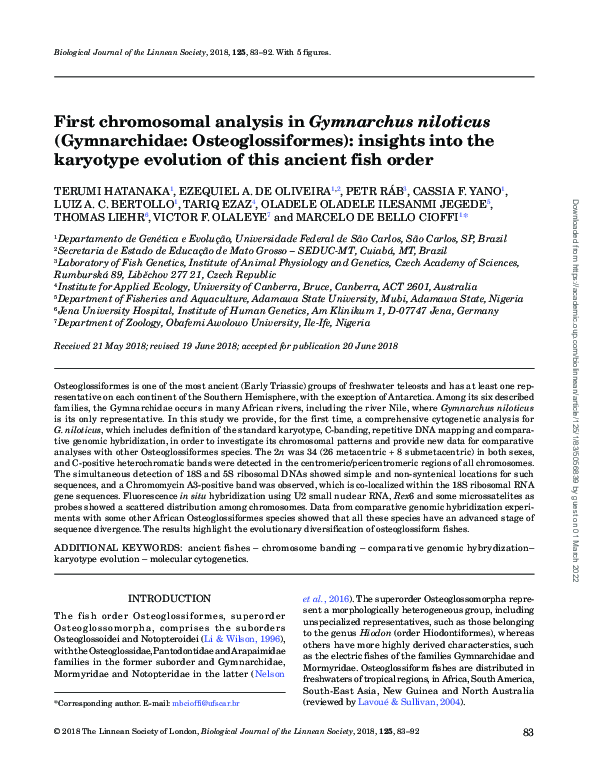 (PDF) First chromosomal analysis in Gymnarchus niloticus (Gymnarchidae ...