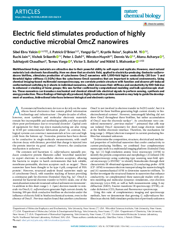 (PDF) Electric field stimulates production of highly conductive ...