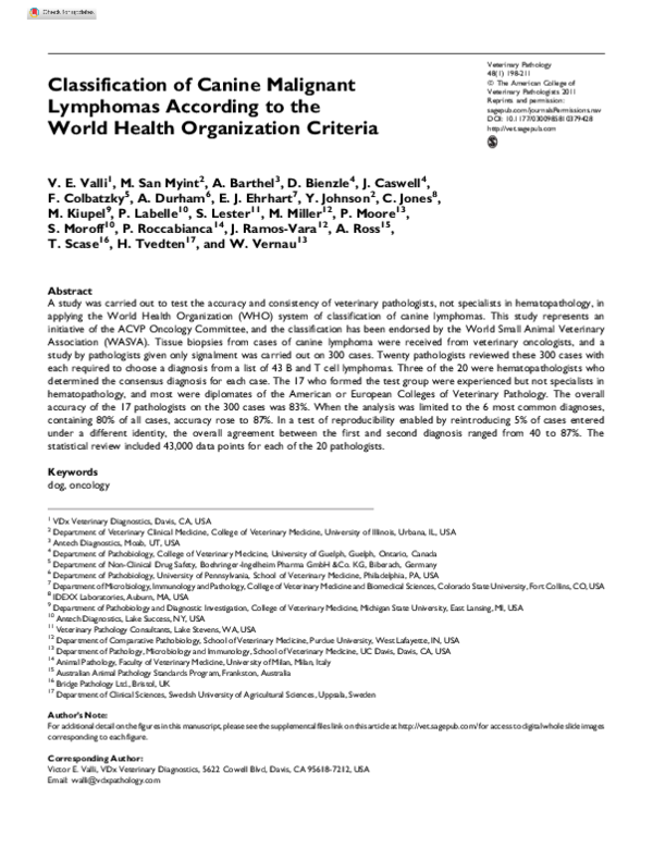 (PDF) Classification of Canine Malignant Lymphomas According to the ...