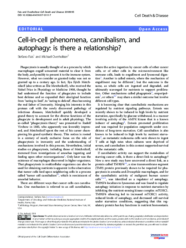 (PDF) Cell-in-cell phenomena, cannibalism, and autophagy: is there a ...
