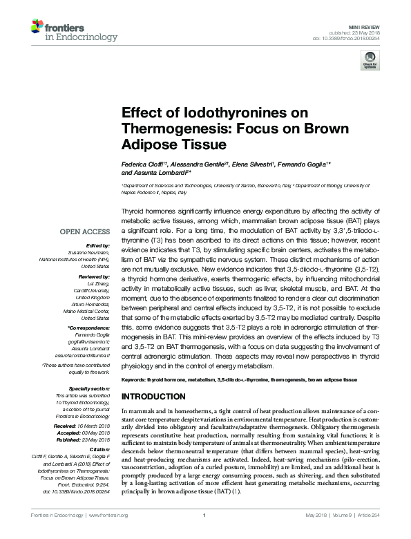(PDF) Effect of Iodothyronines on Thermogenesis: Focus on Brown Adipose ...