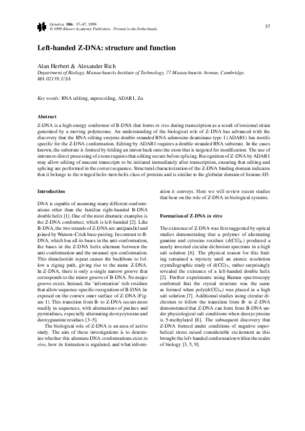 (PDF) Understanding Left-handed Z-DNA: Structure and Biological Role