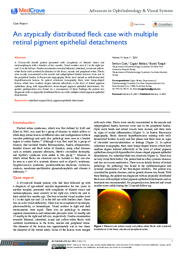 (PDF) An atypically distributed fleck case with multiple retinal ...
