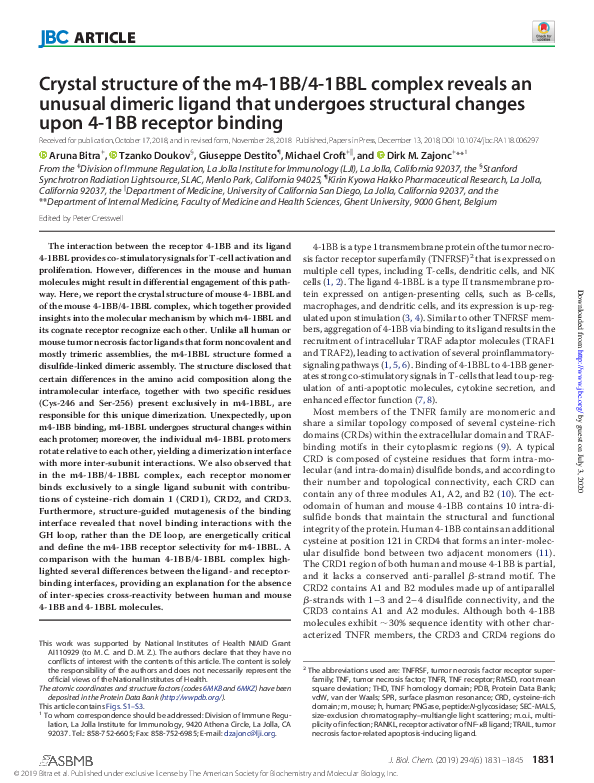 (PDF) Crystal structure of the m4-1BB/4-1BBL complex reveals an unusual ...