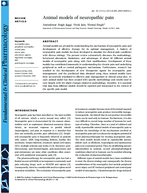 (PDF) Animal Models of Neuropathic Pain