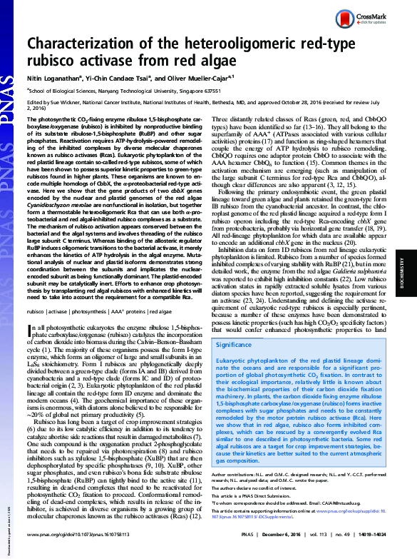 (PDF) Characterization of the heterooligomeric red-type rubisco ...