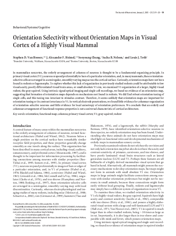 Pdf Orientation Selectivity Without Orientation Maps In Visual Cortex