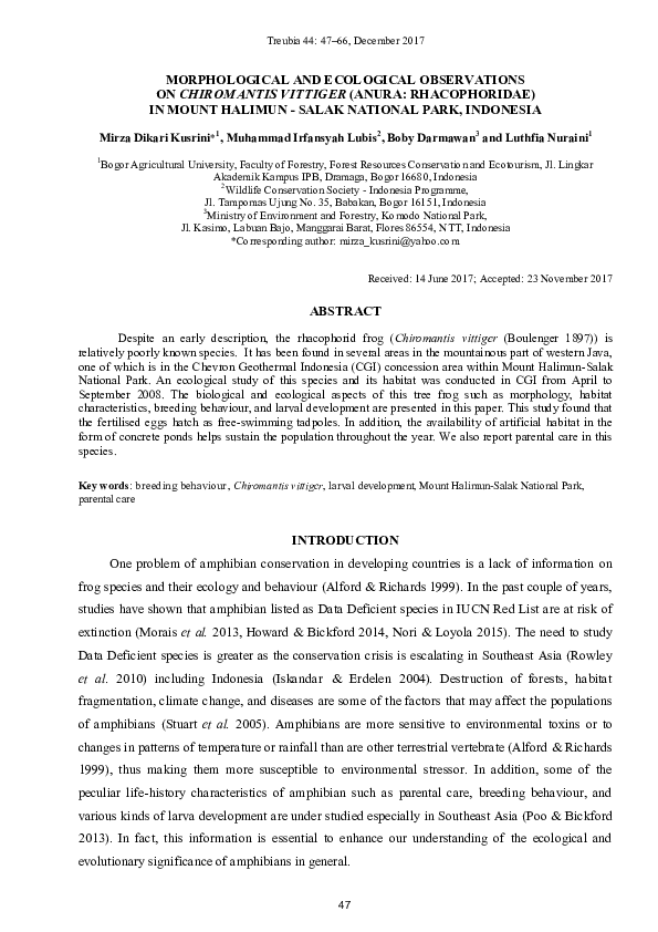 (PDF) Morphological and Ecological Observations on Chiromantis Vittiger ...