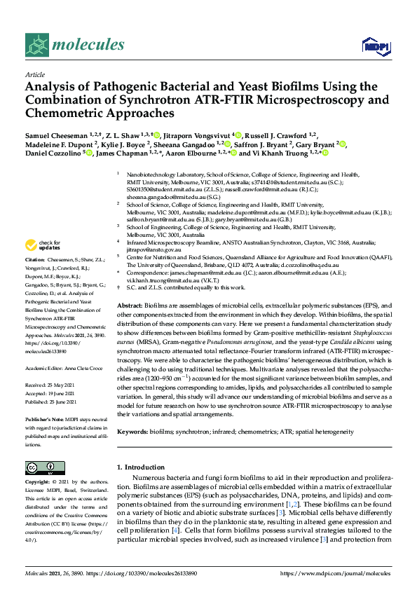 (PDF) Analysis of Pathogenic Bacterial and Yeast Biofilms Using the Combination of Synchrotron ...