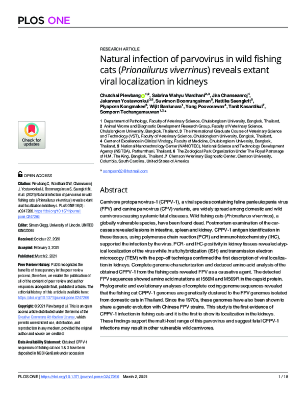 (PDF) Natural infection of parvovirus in wild fishing cats ...