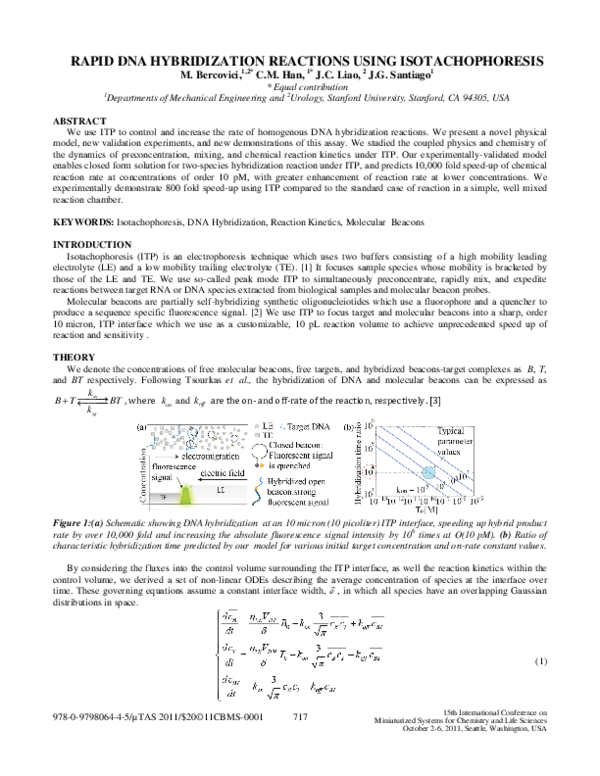Pdf Rapid Dna Hybridization Reactions Using Isotachophoresis