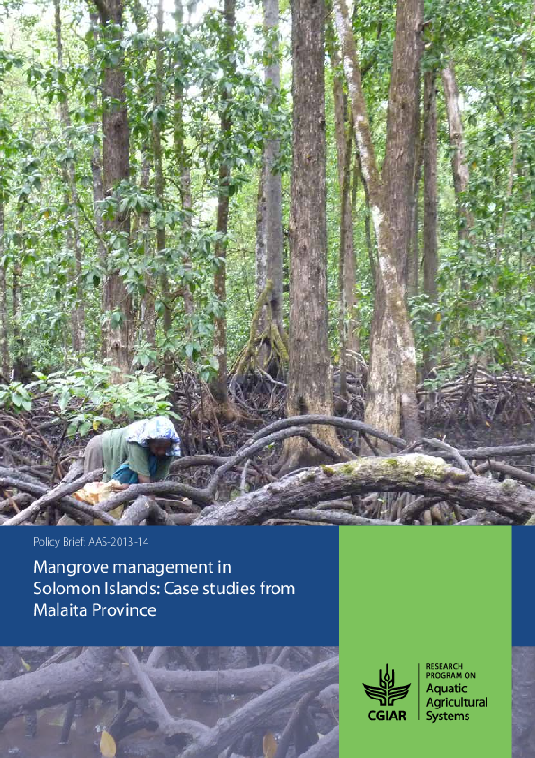 (PDF) Mangrove management in Solomon Islands: Case studies from Malaita ...