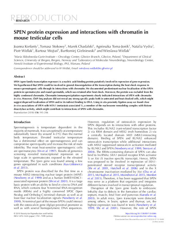 (PDF) SPEN protein expression and interactions with chromatin in mouse ...