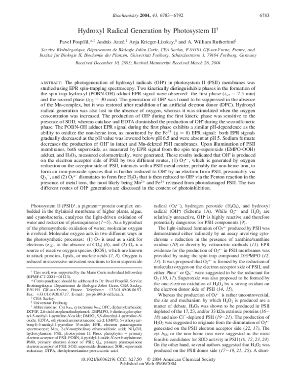 (PDF) Hydroxyl Radical Generation by Photosystem II