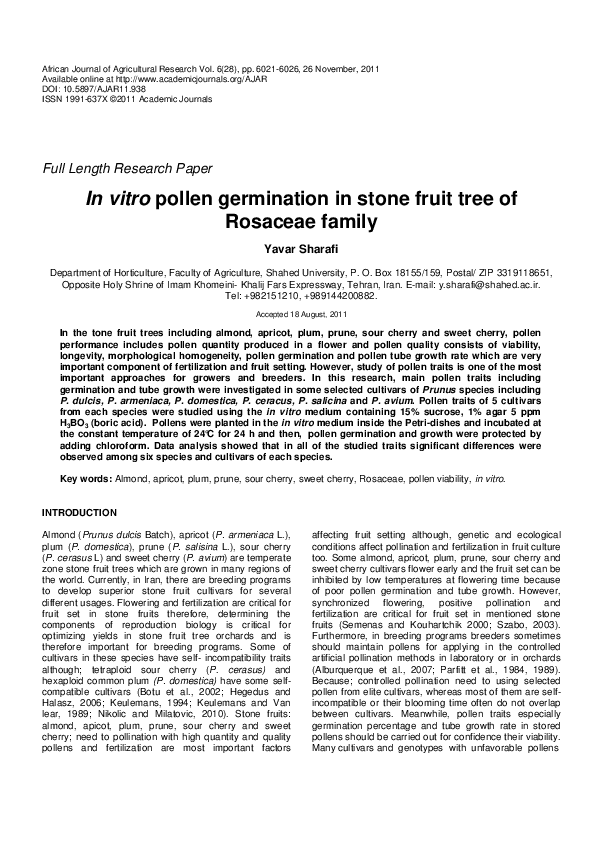 (PDF) In vitro pollen germination in stone fruit tree of Rosaceae family
