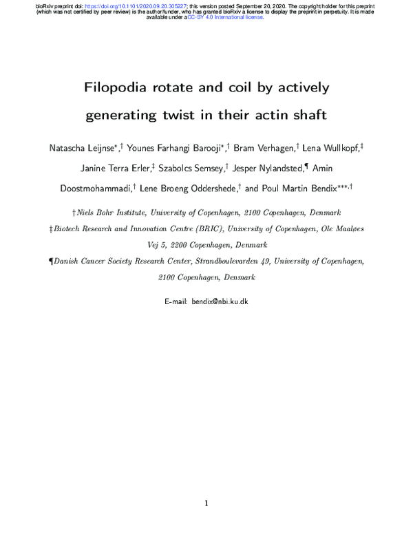 (PDF) Filopodia rotate and coil by actively generating twist in their ...