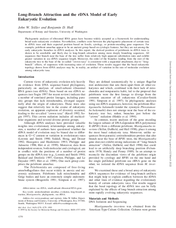 (PDF) Long-branch attraction and the rDNA model of early eukaryotic ...