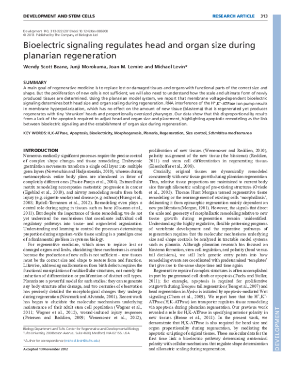 (PDF) Bioelectric signaling regulates head and organ size during ...