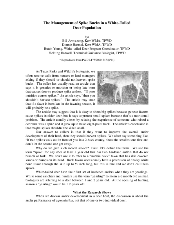 (PDF) The Management of Spike Bucks in a White-Tailed Deer Population ...