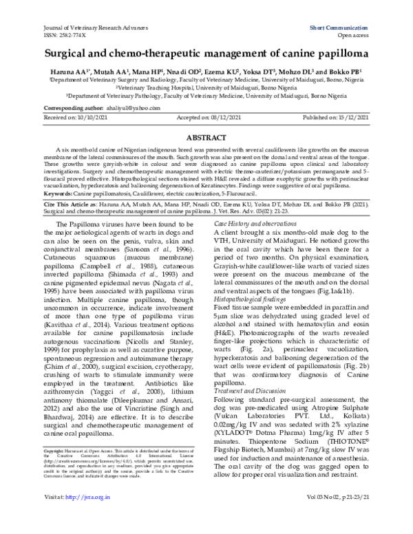 (PDF) Surgical and chemo-therapeutic management of canine papilloma ...
