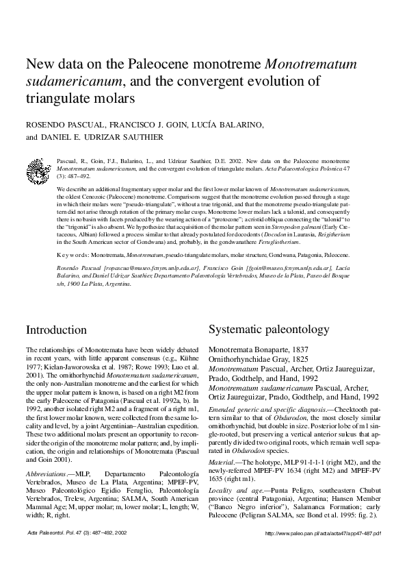 (PDF) New data on the Paleocene monotreme Monotrematum sudamericanum ...