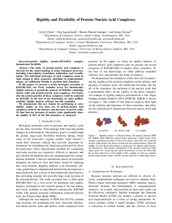 (PDF) Rigidity and flexibility of protein-nucleic acid complexes