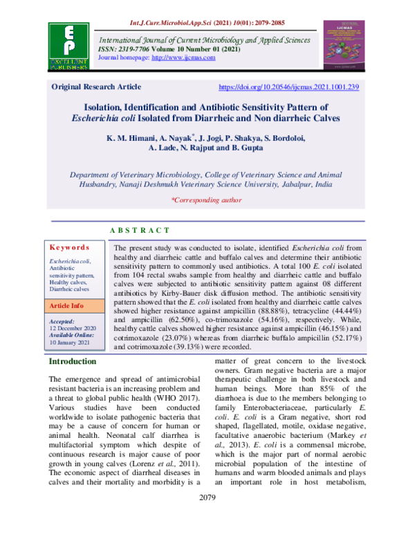 (PDF) Isolation, Identification and Antibiotic Sensitivity Pattern of ...