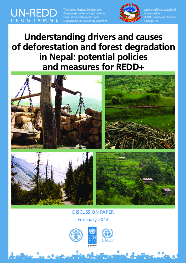 (PDF) Understanding drivers and causes of deforestation and forest ...