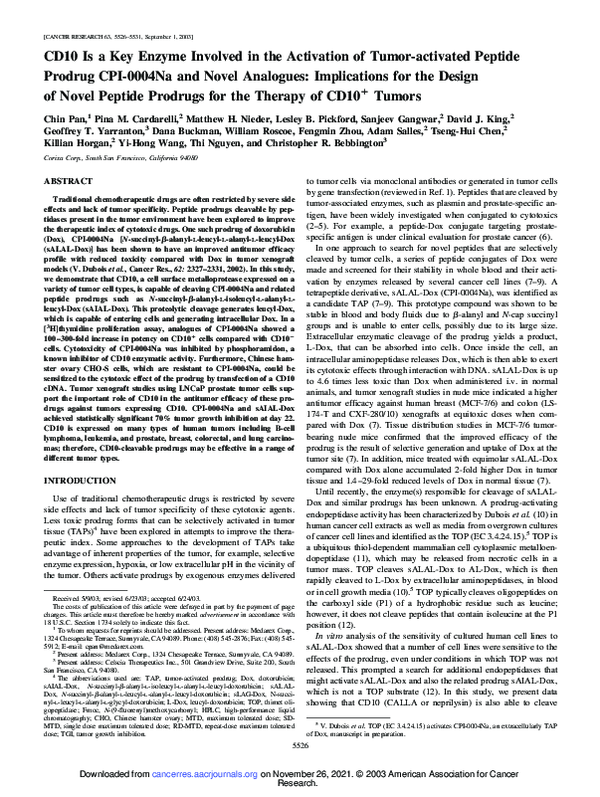 (PDF) CD10 is a key enzyme involved in the activation of tumor ...
