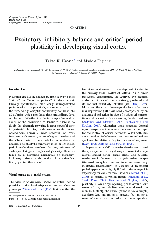 (PDF) Excitatory-inhibitory balance and critical period plasticity in developing visual cortex