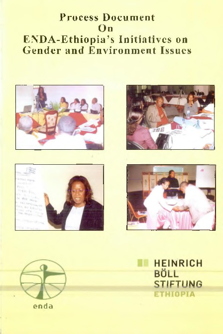 (PDF) Process Document On ENDA-Ethiopia’s Initiatives on Gender and ...