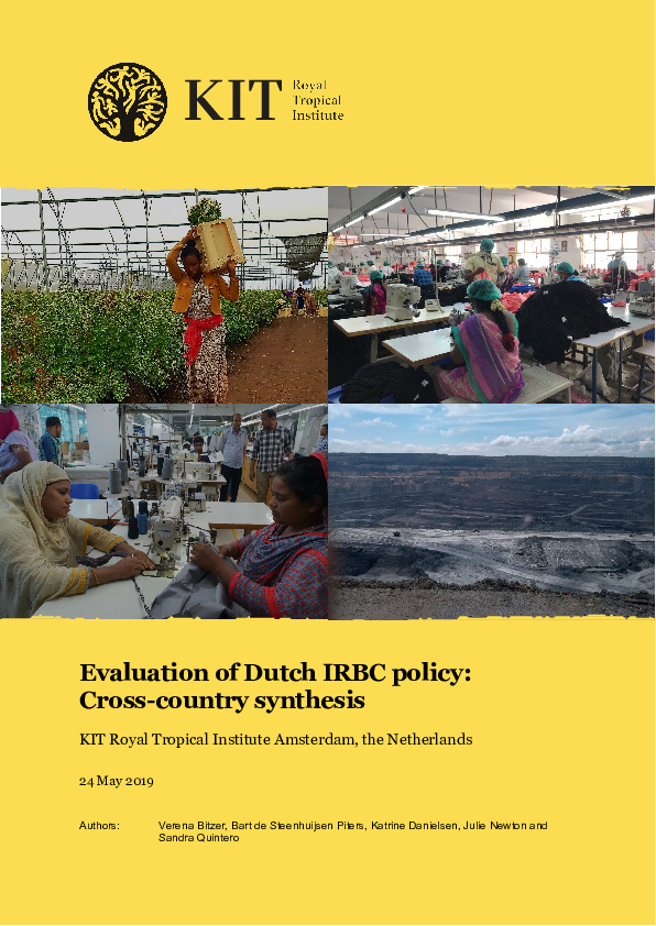 (PDF) Evaluation of Dutch IRBC policy: Cross-country synthesis