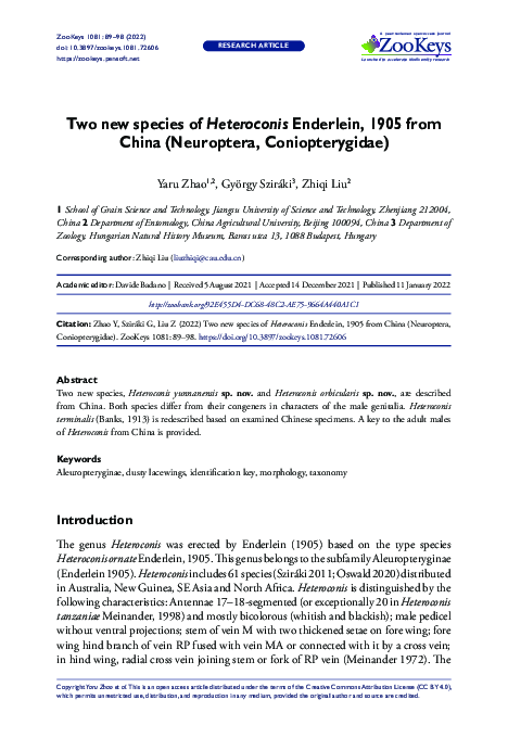 (PDF) Two new species of Heteroconis Enderlein, 1905 from China ...