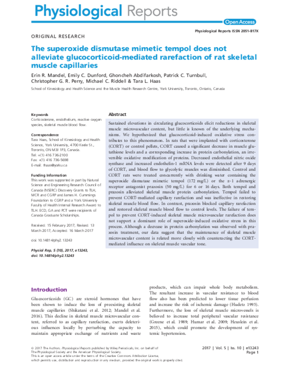 (PDF) The superoxide dismutase mimetic tempol does not alleviate ...